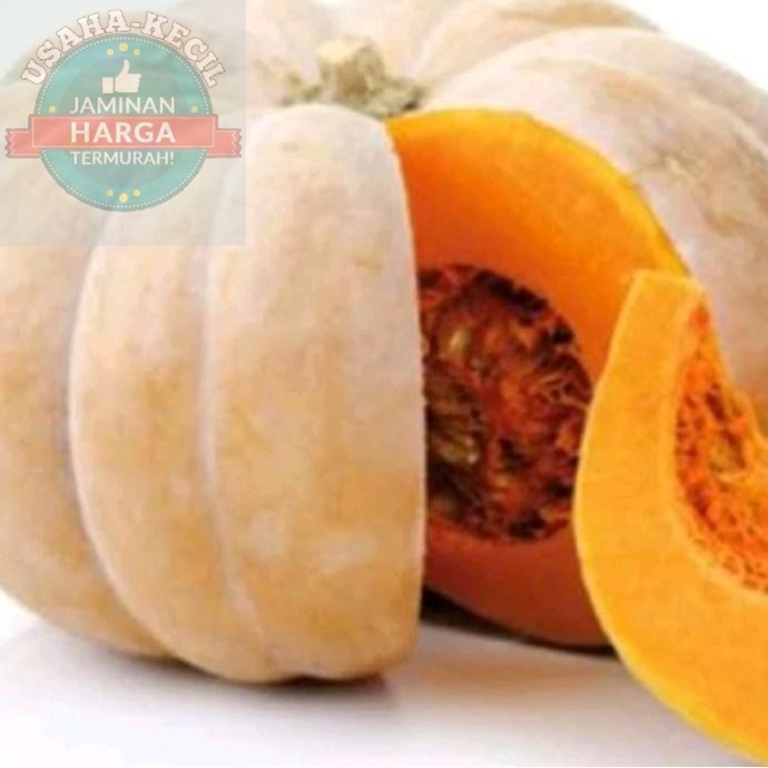 Jual 50+ Benih Waluh / Labu Kuning Besar Mudah Tumbuh | Shopee Indonesia