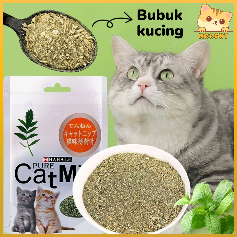 Jual Catnip Cat Mint - 100% PURE NATUAL CATMINT POWDER - Mening katkan ...