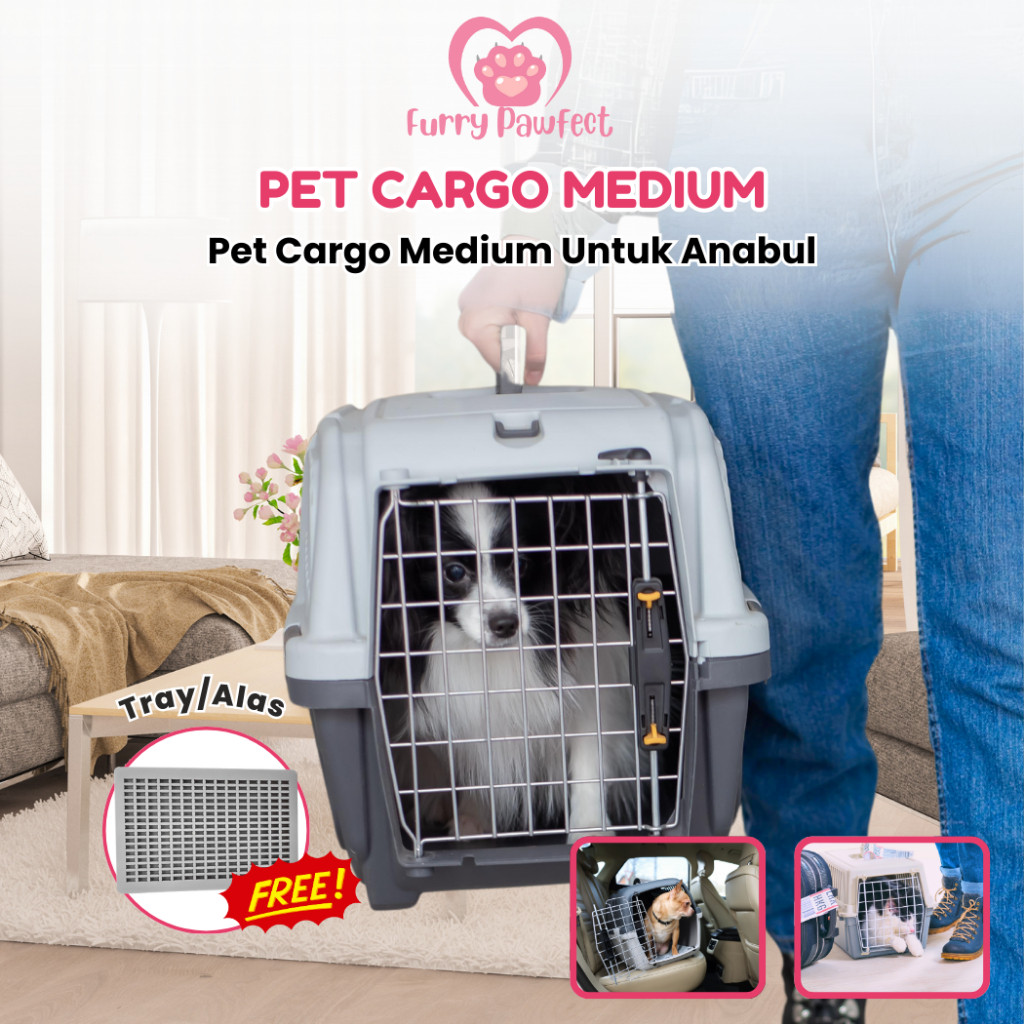 Jual Pet Cargo Kucing Anjing Medium - Pet Carrier Kelinci Anbaul - Box ...