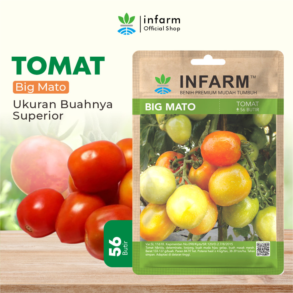 Jual INFARM - Bibit Tomat Big Mato Hibrida Benih Buah Tomat Besar Hijau ...