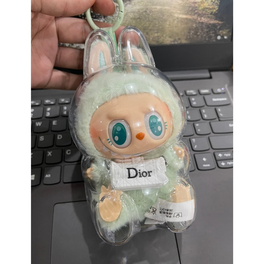 Jual Casing Labubu V2 / case akrilik labubu / pelindung boneka labubu ...