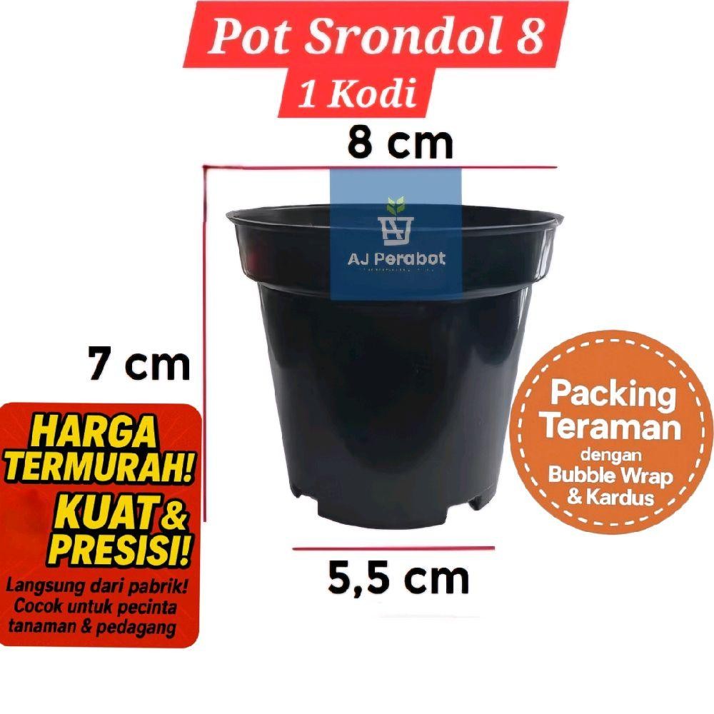 Jual GROSIR 1 KODI Pot Polos ukuran 8 cm / Pot Srondol / Pot Polos ...