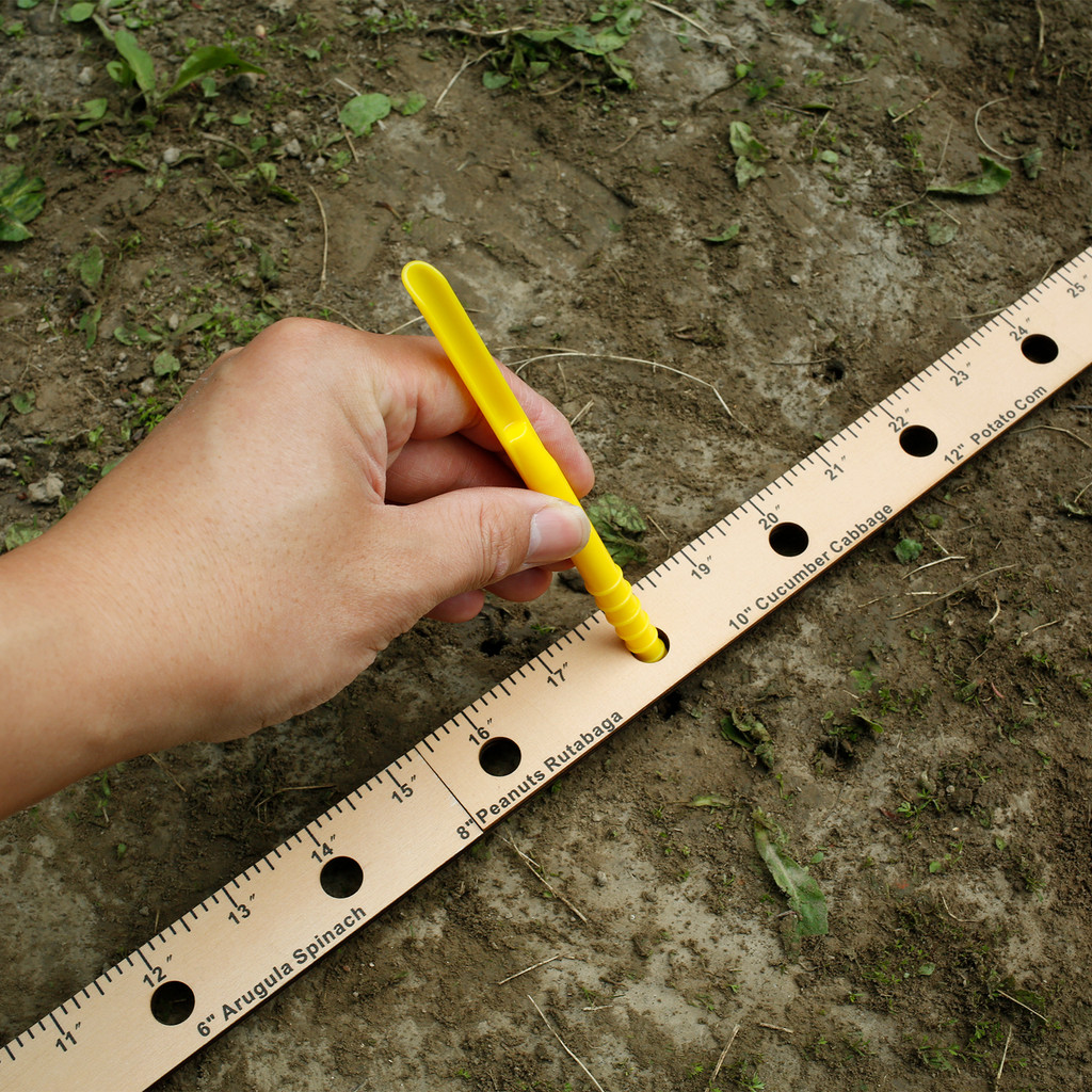 Jual 15Holes Seeds Planting Wood Ruler Garden Sow Plant Measuring Tool ...