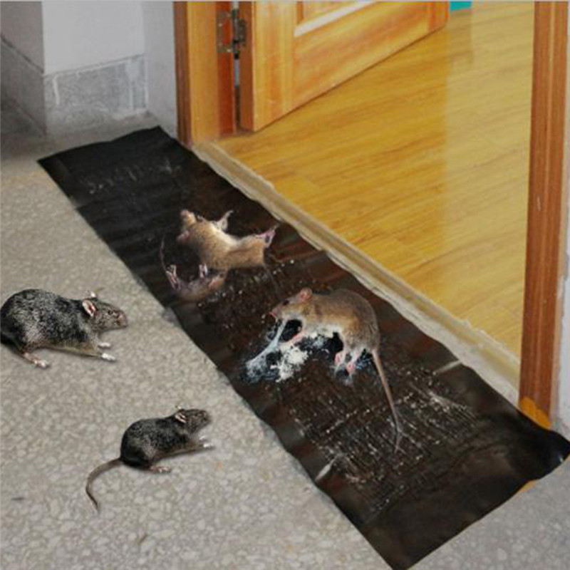Jual Anti Rat Large Big Sticky Glue Mat Rodents Moles Mouse Trap Rat ...