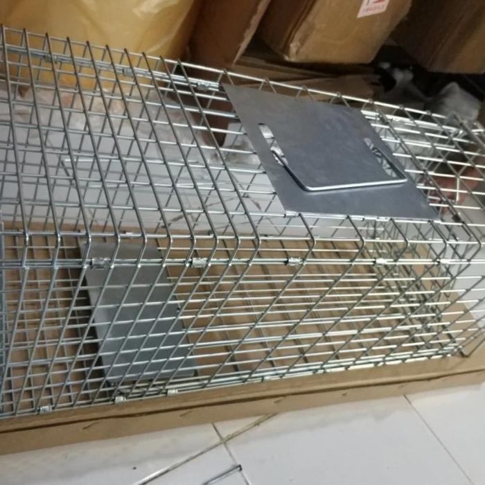Jual jebakan perangkap lipat kucing liar musang biawak ukuran L ...