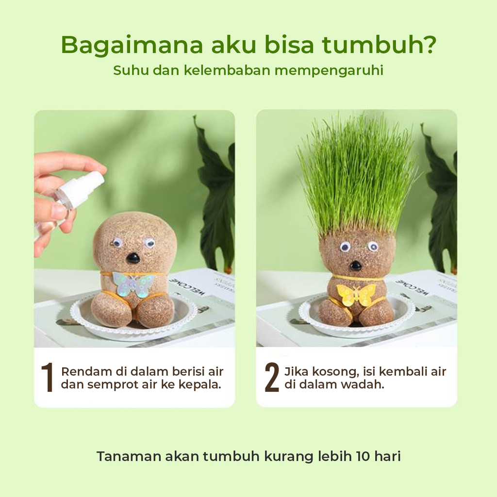 Jual Grass Doll Blossom Doll Tanaman Bentuk Horta Unik Bunga Mainan ...