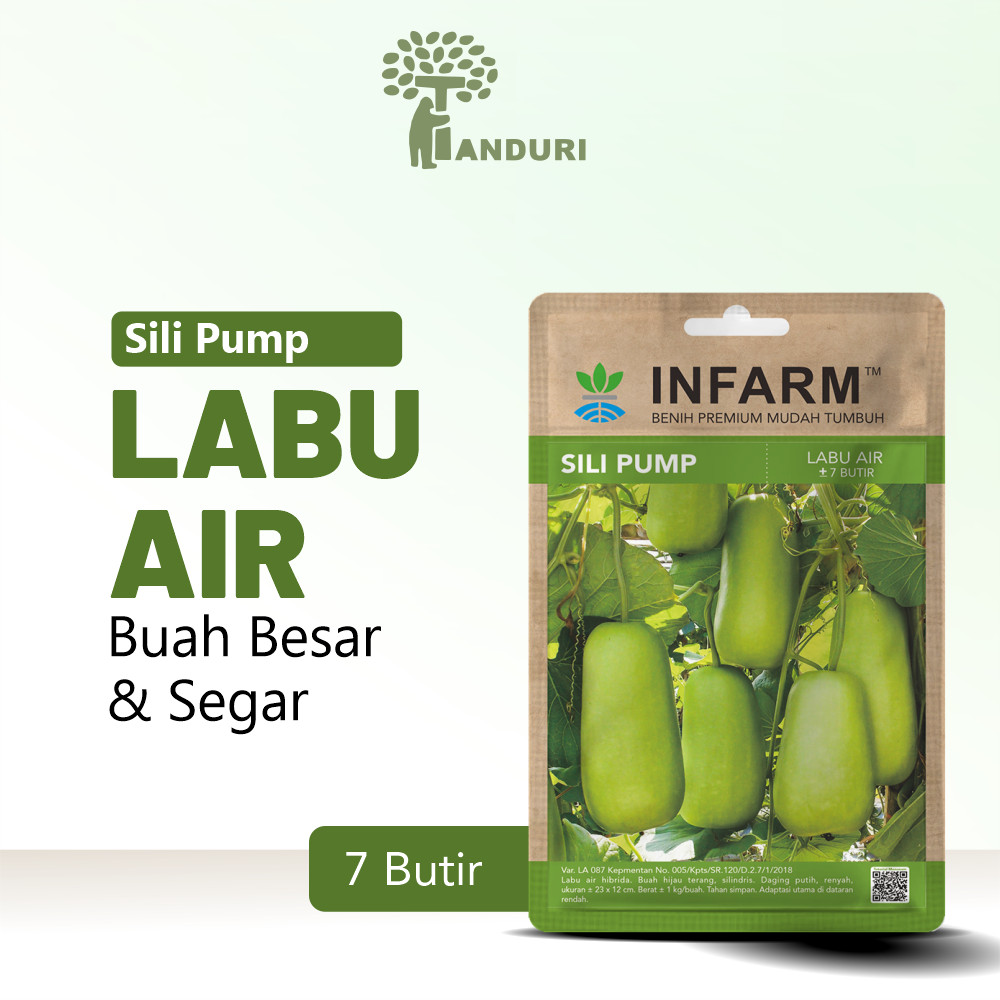 Jual TANDURI - Benih Buah Labu Air Unggul, Bibit Buah Labu Air Biji ...