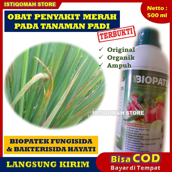 Jual OBAT HAMA PADI Fungisida & Bakterisida Hayati BIOPATEK 500ml Obat ...