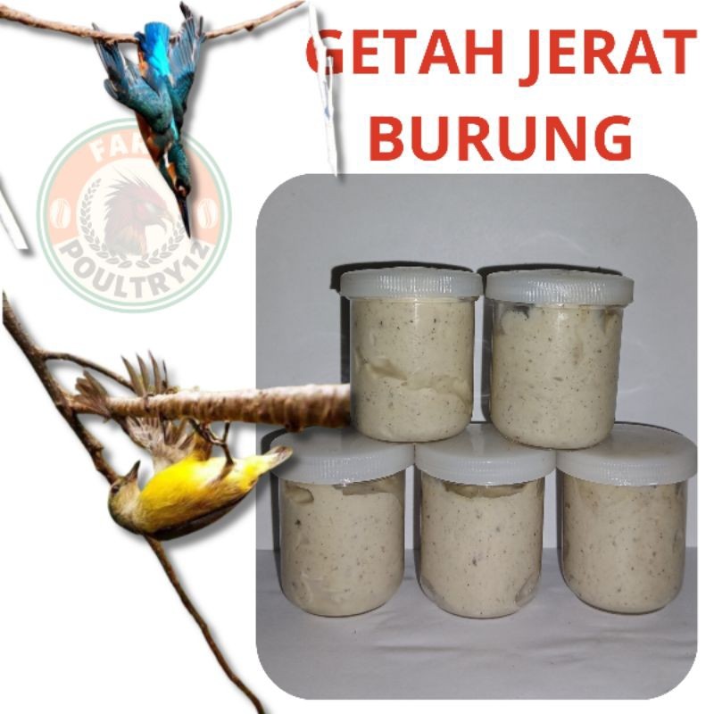 Jual Getah burung Pulut Burung Anti Lepas Daya rekat tinggi lem Burung ...