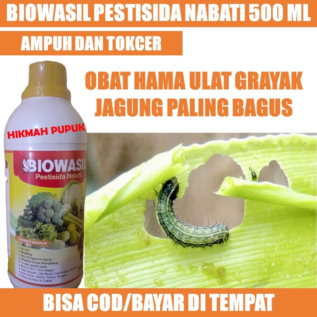 Jual {TERLARIS} BIOWASIL 500 ML PESTISIDA HAMA ULAT GRAYAK JAGUNG, CABE, LABU SIAM, MANGGA Obat ...