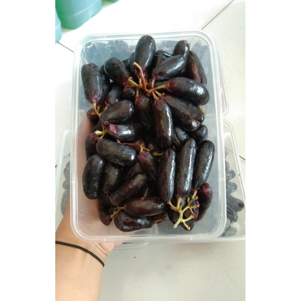 Jual [PROMO] Anggur jari ukuran 800-900gr | Shopee Indonesia