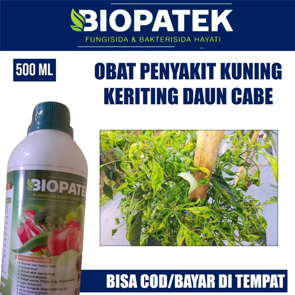 Jual 500 ML BIOPATEK Fungisida Hama Virus Kuning Keriting, Obat Hama ...