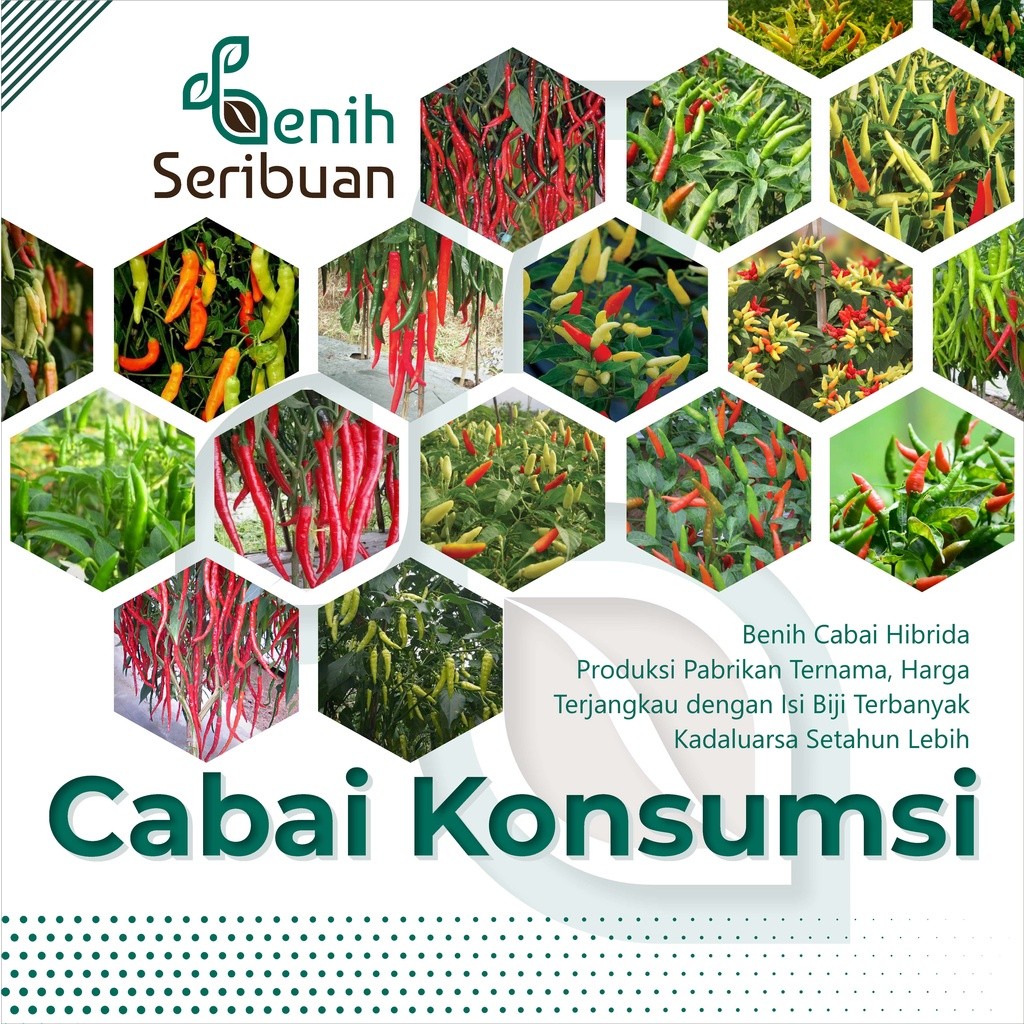 Jual Melar Farm - Aneka Bibit Cabe Konsumsi Sayur Sayuran Cabai Rawit ...