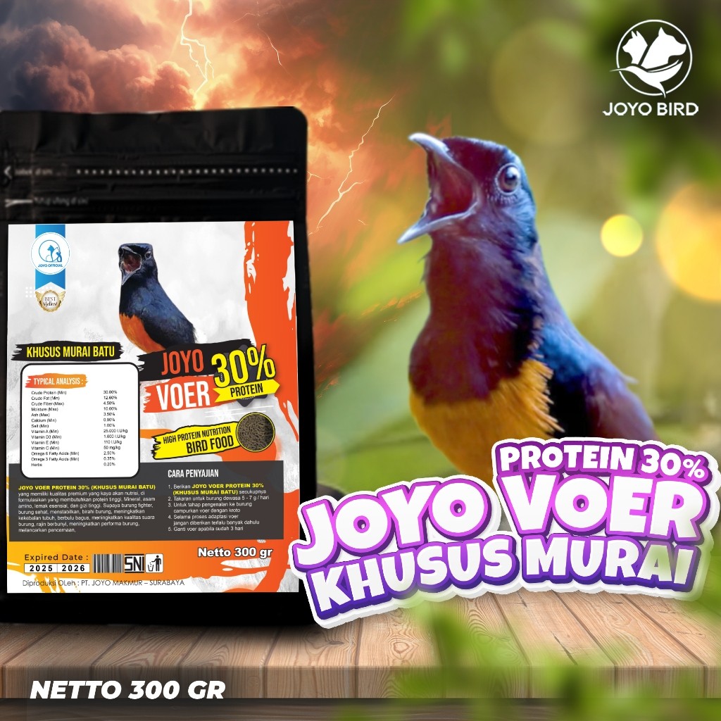 Jual MAKANAN BURUNG MURAI | VOER BURUNG MURAI | VOER GACOR | VOER ...