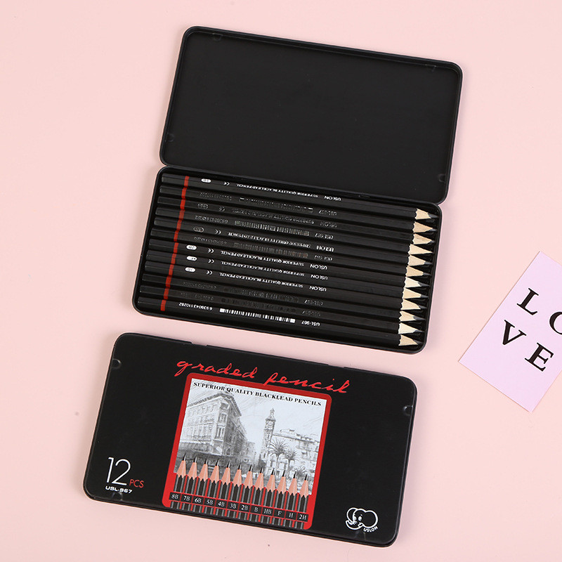 Jual 12pcs/Set Pensil Gambar Sketsa Set Lengkap 2h-8b Charcoal Pencils Set Untuk Keperluan ...