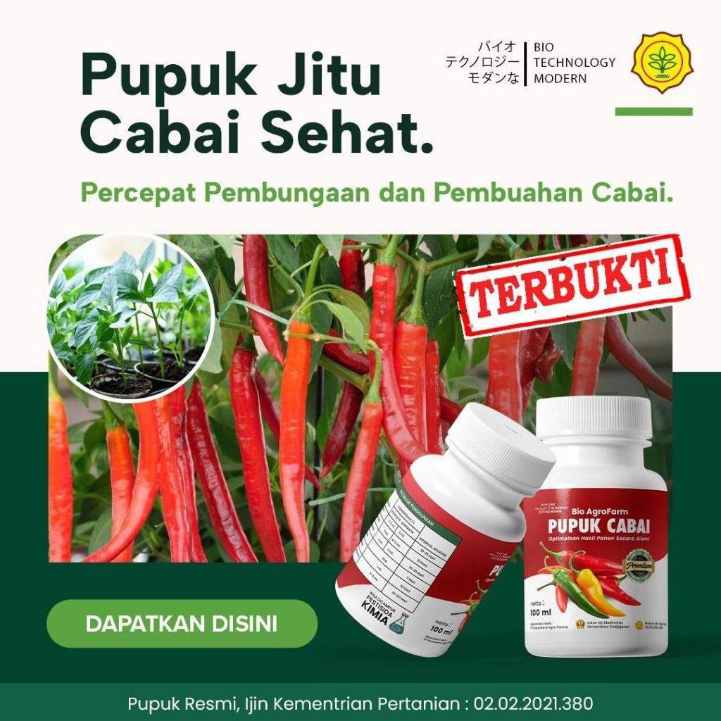 Jual Pupuk cabai organik, perlindungan optimal dari virus, bulai, dan ...