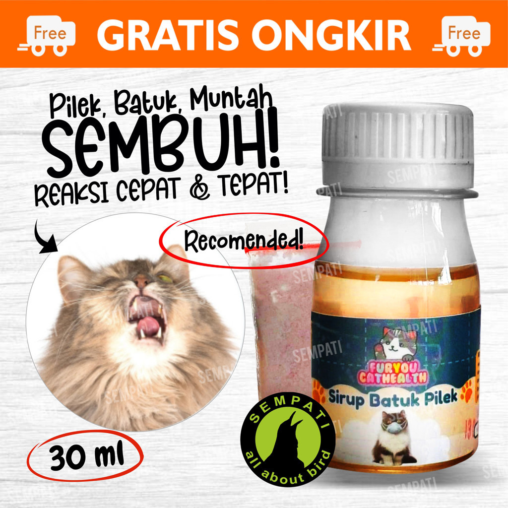 Jual SEMPATI Fur You Furyou Sirup Batuk Pilek Kucing 30ml Obat Kucing ...