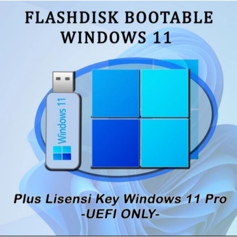 Jual USB FLASHDISK BOOTABLE WINDOWS 11 PRO PLUS DRIVERPACK | Shopee ...