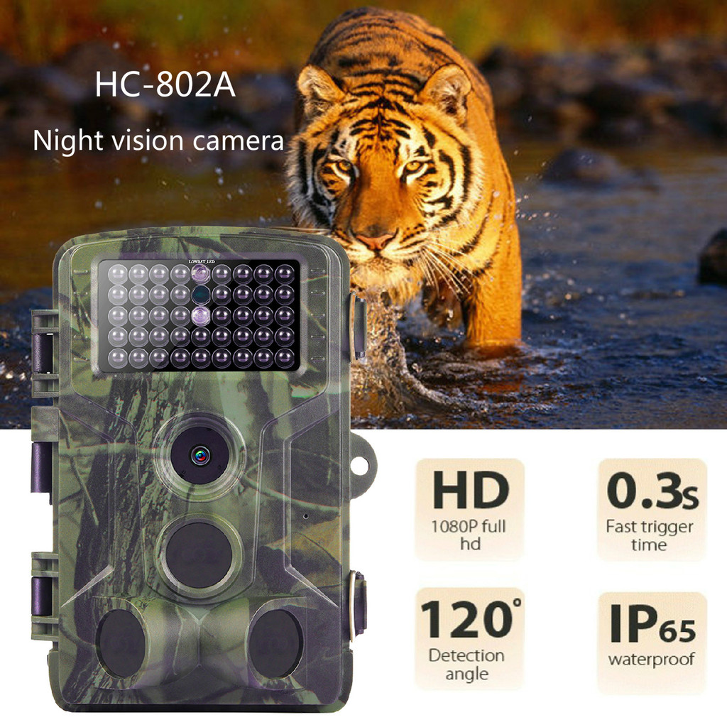 Jual Suntekcam-Hunting Trail Camera, Night Vision, Waterproof Cameras ...