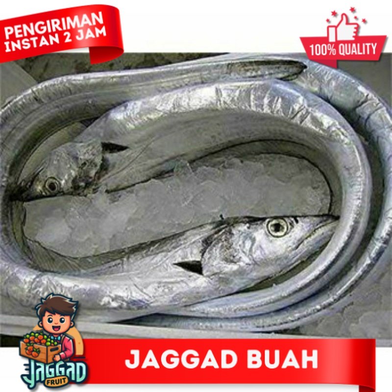 Jual Ikan Layur Segar / Ikan Fresh / ikan Banyak Kandungan Gizi ...