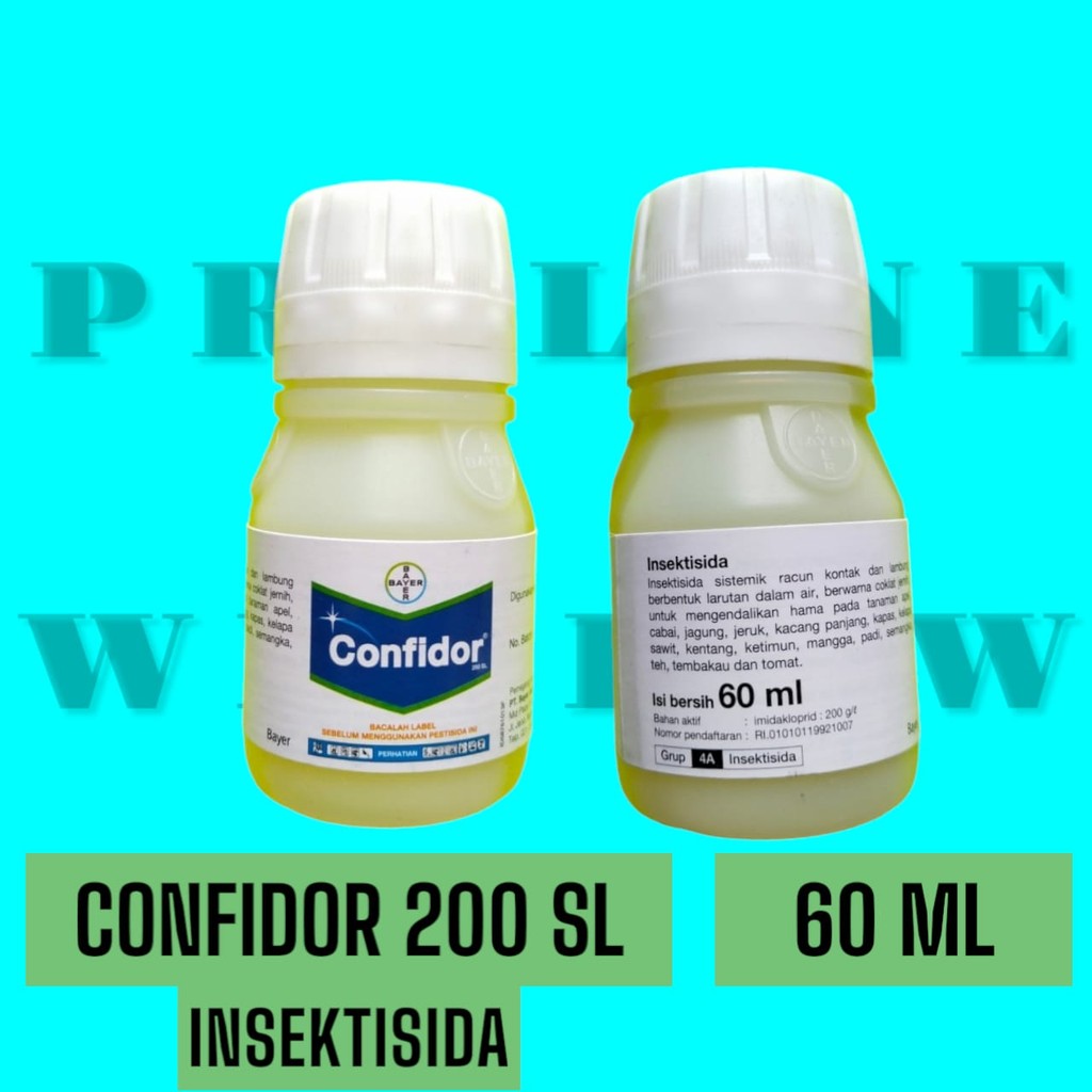 Jual Confidor 200 SL 60 mL Insektisida Pembasmi Serangga Tanaman ...