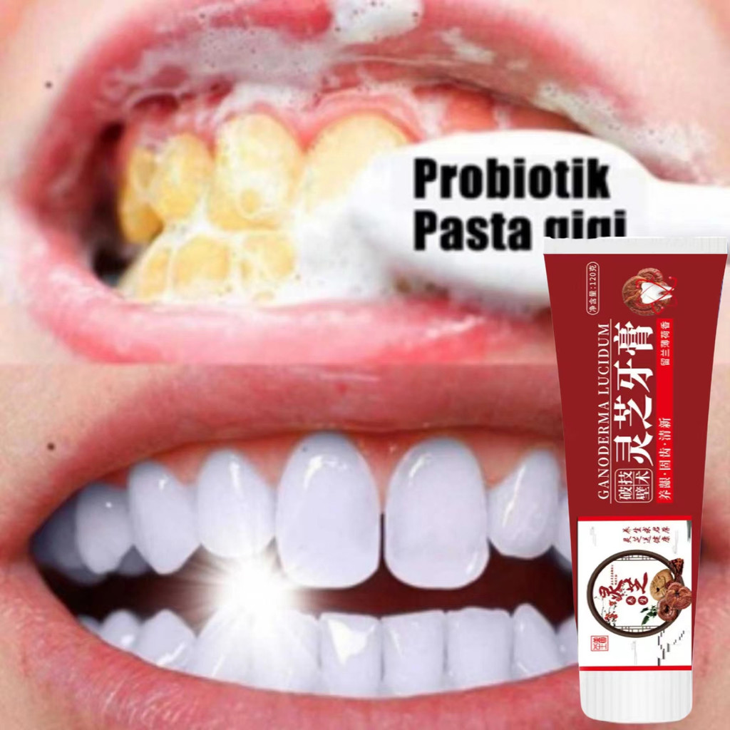 Jual Promo Ganoderma Lucidum Penumbuh Gigi Perbaikan gigi Berlubang ...