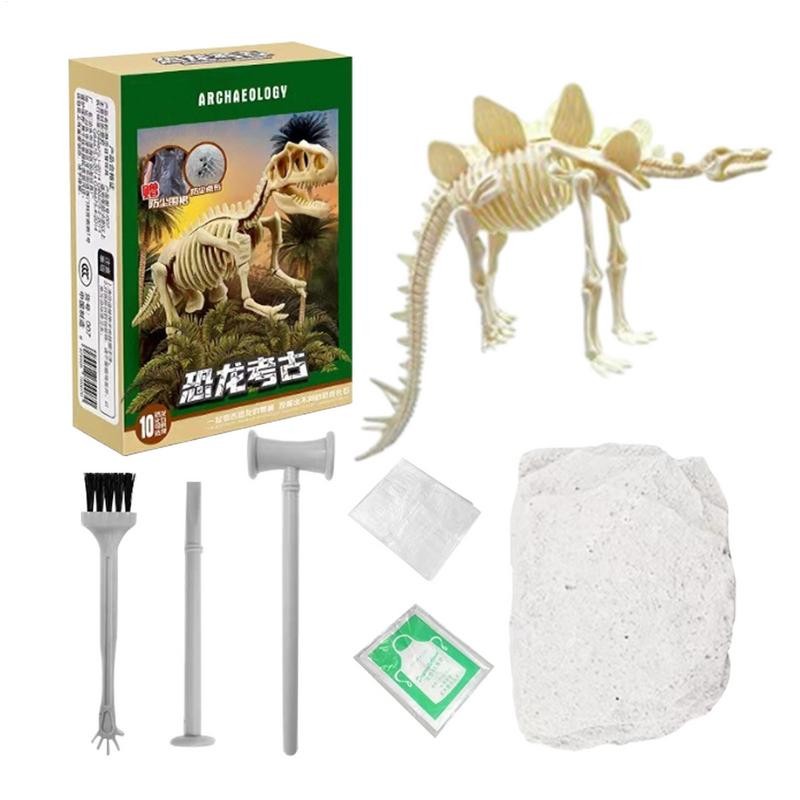 Jual Dinosaur Fossil Digging Kit Dino Skeleton Excavation Toys Model 3D ...