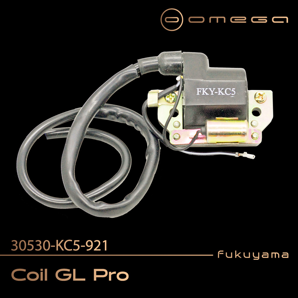 Jual Fukuyama Coil / Koil GL PRO (12 V) | Shopee Indonesia