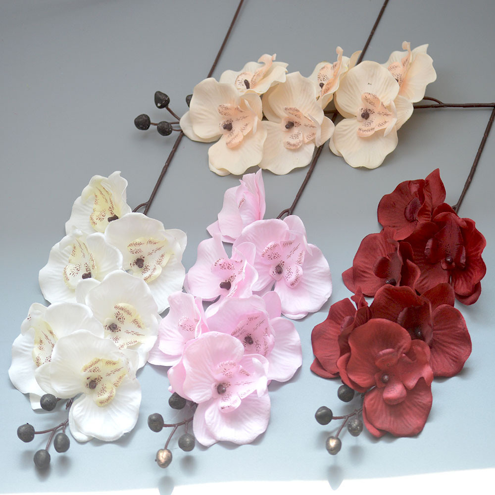 Jual Bunga Anggrek Orchid 6 kuntum | Shopee Indonesia
