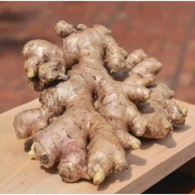 Jual Jahe Emprit Segar Jahe Jawa Super Kemasan 1 Kg | Shopee Indonesia