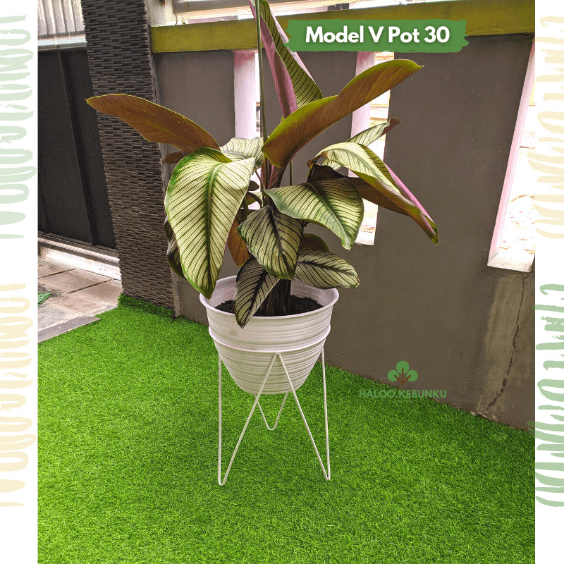 Jual Standing Pot Bunga Besar ukuran Pot 30 model V besi kokoh | Shopee ...