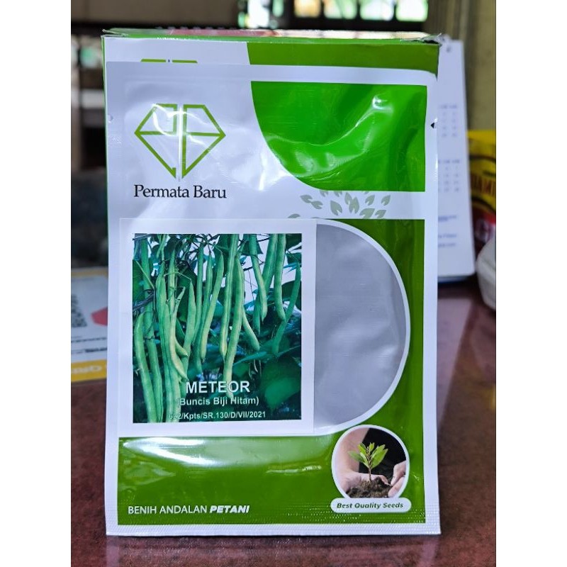 Jual permata baru Benih bibit buncis meteor , buncis biji hitam 50gr ...
