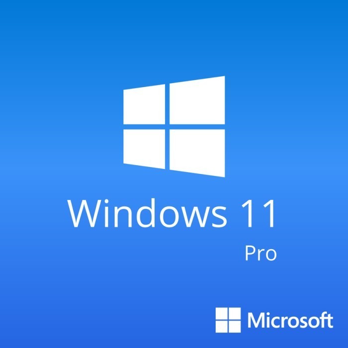 Jual Aktivasi Windows 11 Pro Original(key) | Shopee Indonesia