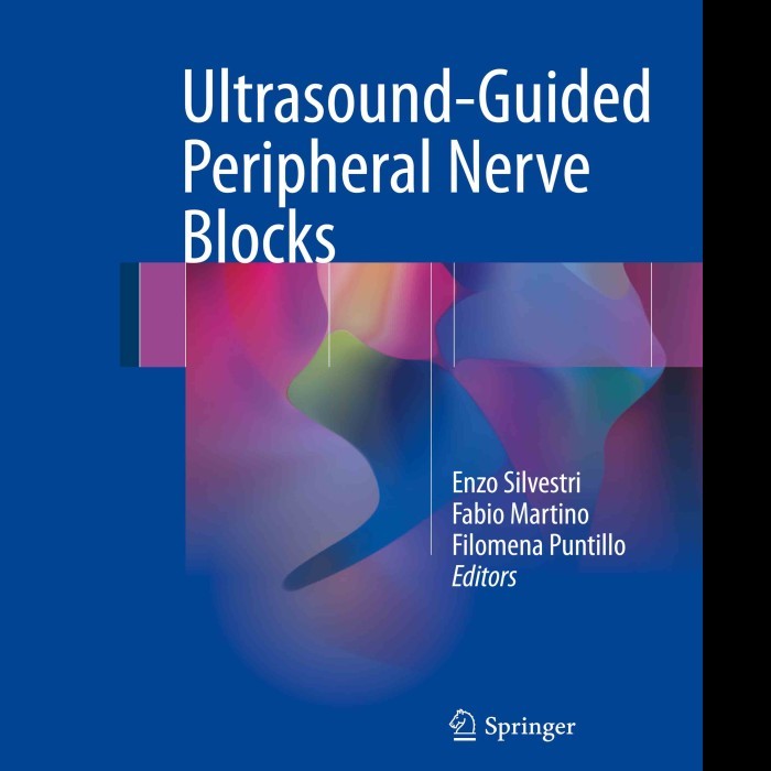 Jual Buku Ultrasound-Guided Peripheral Nerve Blocks | Shopee Indonesia