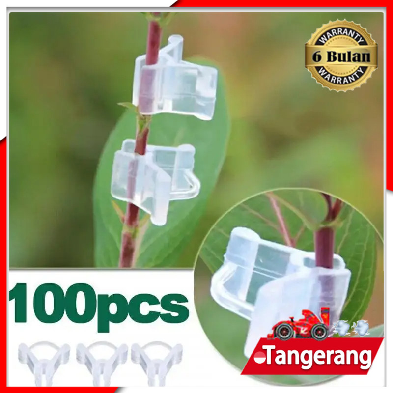 Jual 100pcs Grafting Clip Klip Sambung Pucuk Klip Okulasi Alat Okulasi ...