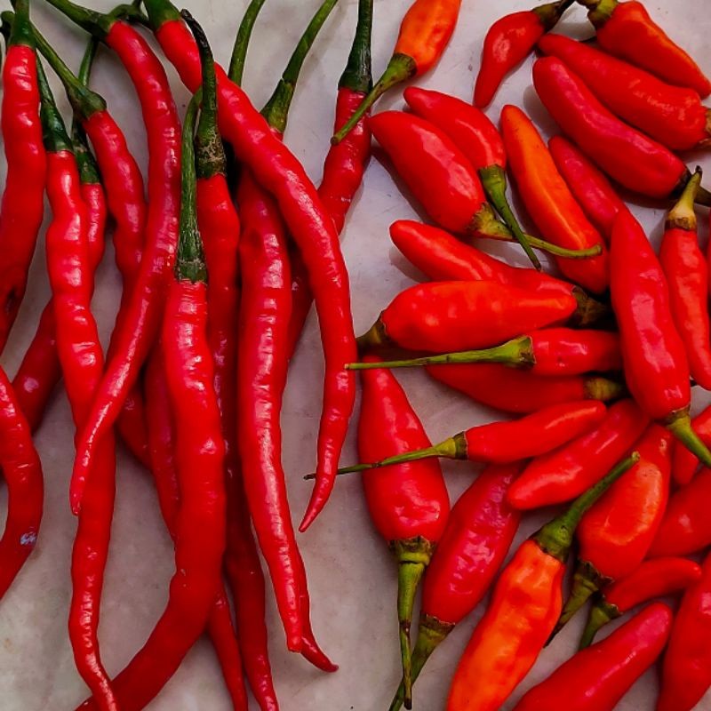 Jual Cabe Merah CAMPUR (Keriting dan Rawit) per 100 gram - Sayur Pawon ...
