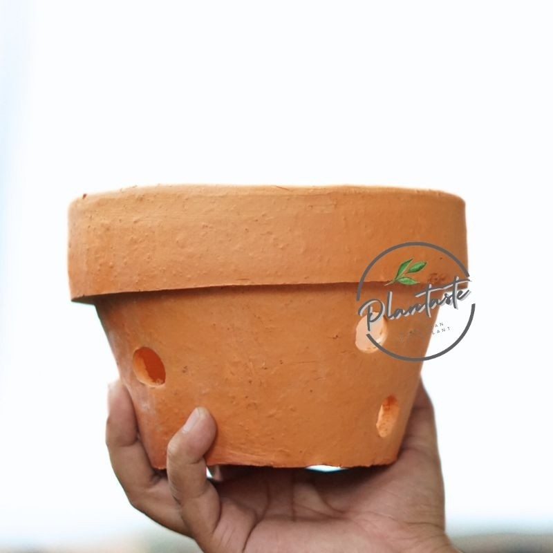 Jual Pot Anggrek / Pot Terracotta / Pot Tanah Liat (Dijamin Subur Akar ...