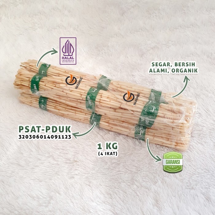 Jual [SK] Akar Alang Alang Segar 1Kg | Shopee Indonesia