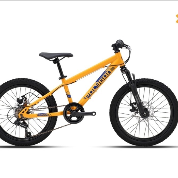 Jual Polygon MTB Maze (20 inch) Sepeda Anak | Shopee Indonesia