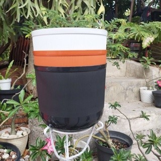 Jual (1pc) CJP TABUNG NORDIC 25 : pot bunga estetik motif garis saluran ...