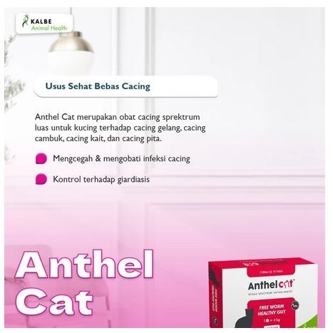 Jual Anthel Cat Obat Cacing Kucing 1 Tablet | Shopee Indonesia
