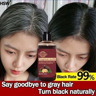 Jual 300ml Shampo Penghilang Uban Permanen Penghitam Black Herbal ...