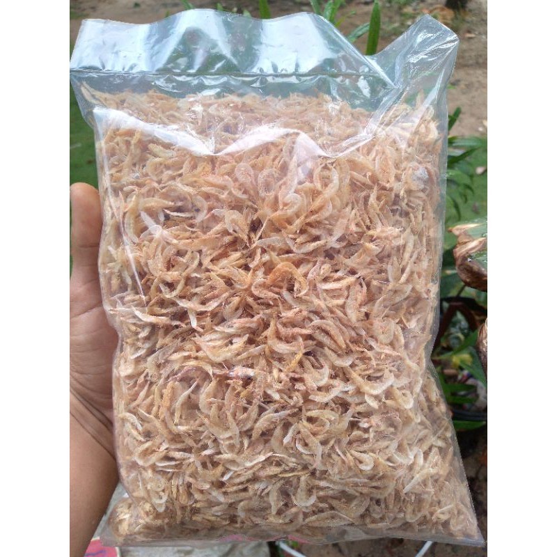 Jual Udang Rebon kering Tawar 250 gram | Shopee Indonesia