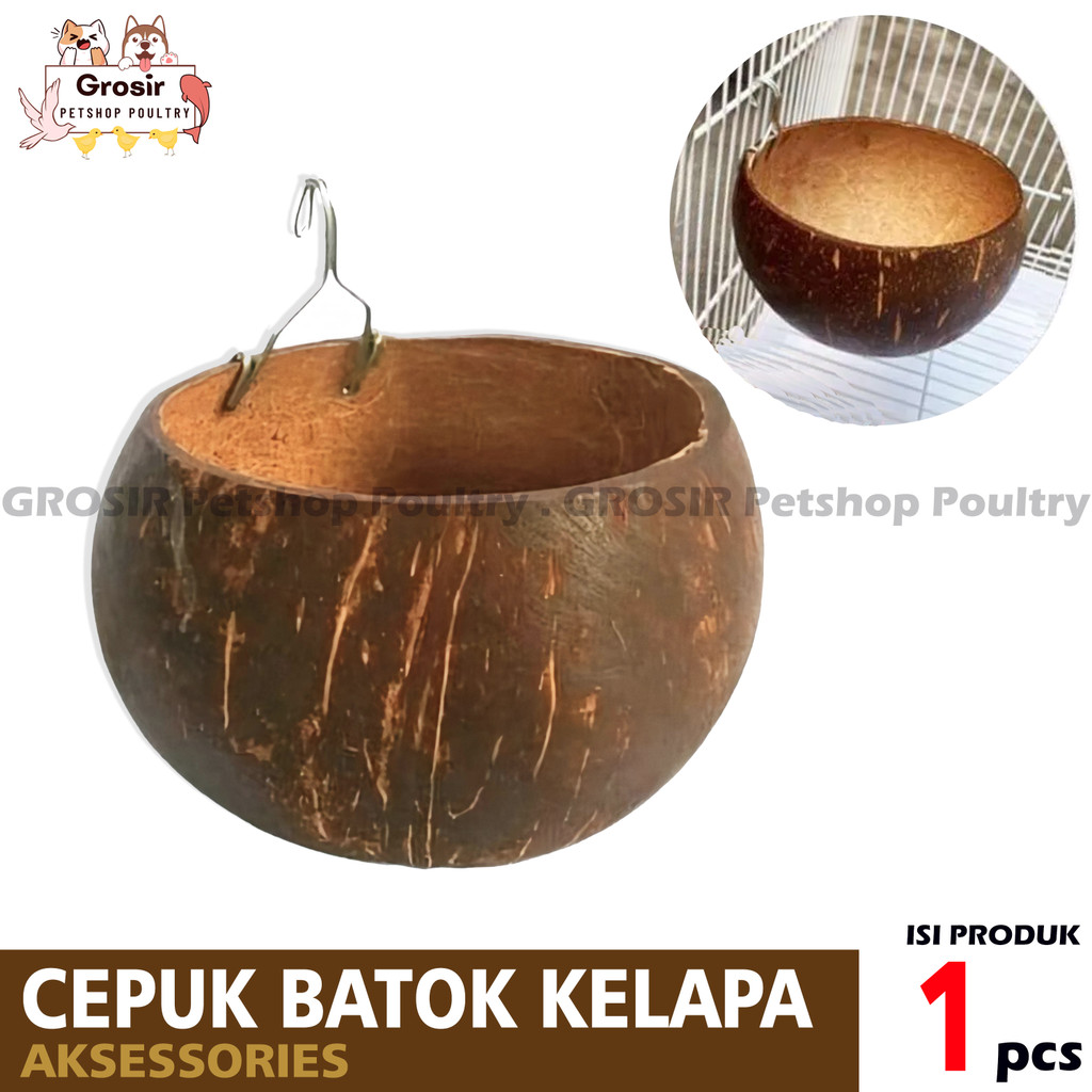 Jual Cepuk Batok Kelapa Tempurung Cepuk Wadah Tempat Makan Minum Burung ...