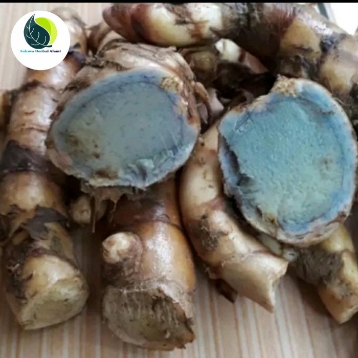 Jual Temu ireng atau temu hitam segar 1kg bersih dari tanah | Shopee ...