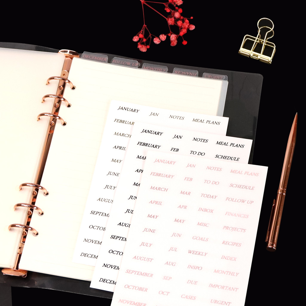 Jual Sharkbang New Arrival A5 A6 6 Holes Transparent Notebook Spiral ...