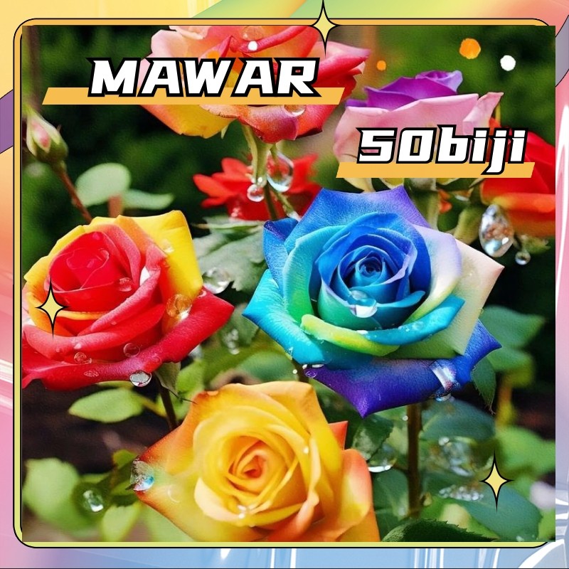Jual [Hasil tinggi] 50 Benih Biji Bibit Bunga Mawar Rose Mix 5 Jenis ...