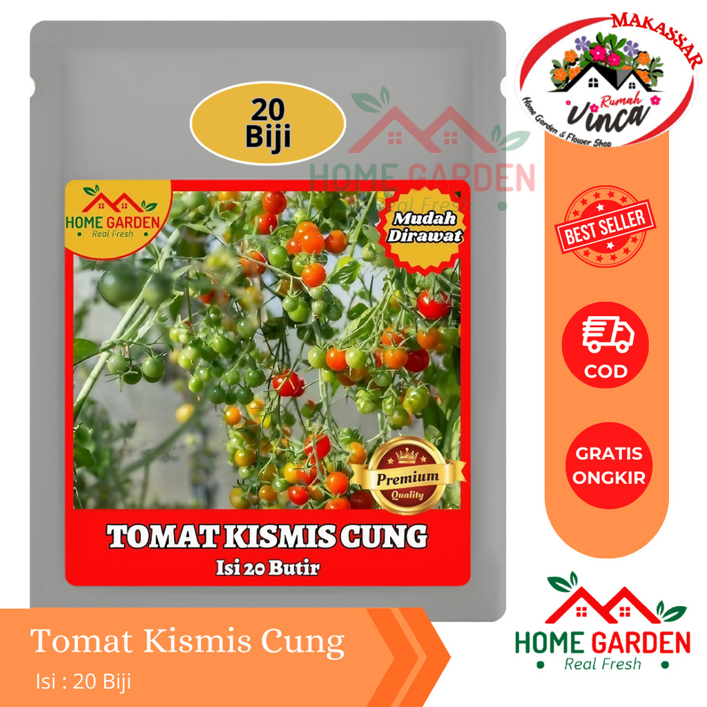 Jual Benih Bibit Tomat Hutan Kismis Tomat Rampai Cung 20 Biji Tomat ...