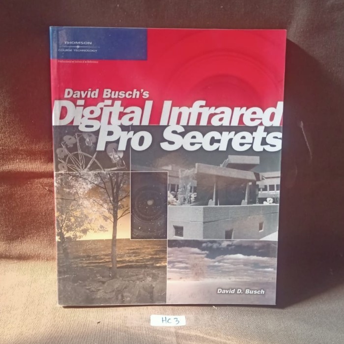 Jual David Busch's - Digital Infrared Pro Secrets | Shopee Indonesia
