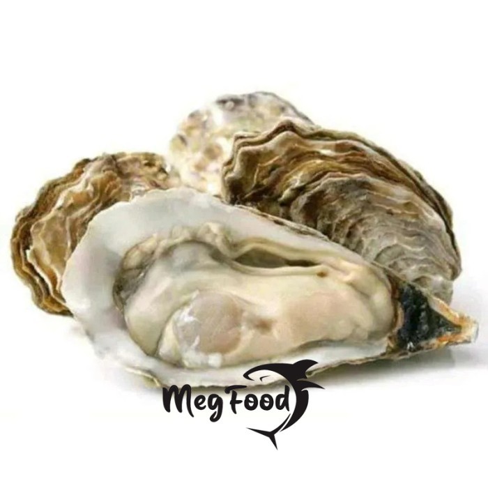 Jual Kerang Tiram Frozen | Oyster Half Shell | Tiram ( 50-70g x 10 pcs ...